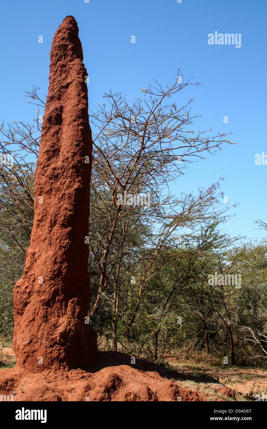 Roadside Ant hill in Ethiopia Stock Photo - Alamy
