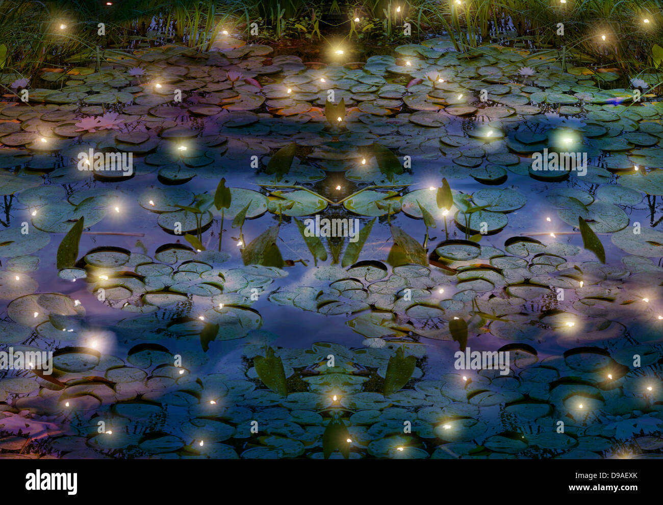 Fireflies lightning bug hi-res stock photography and images - Alamy