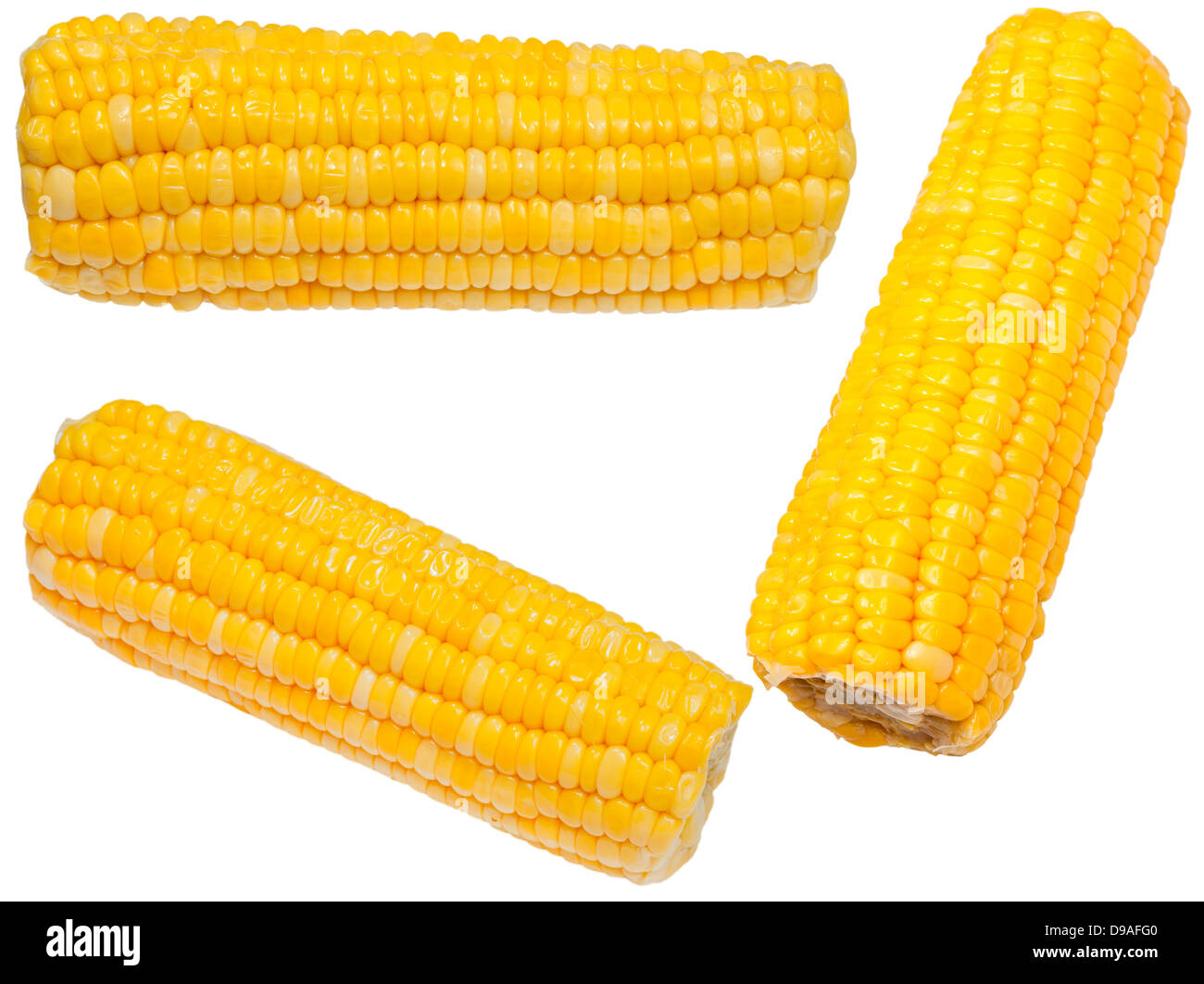 boiled corn on the cob isolated on white background Stock Photo - Alamy