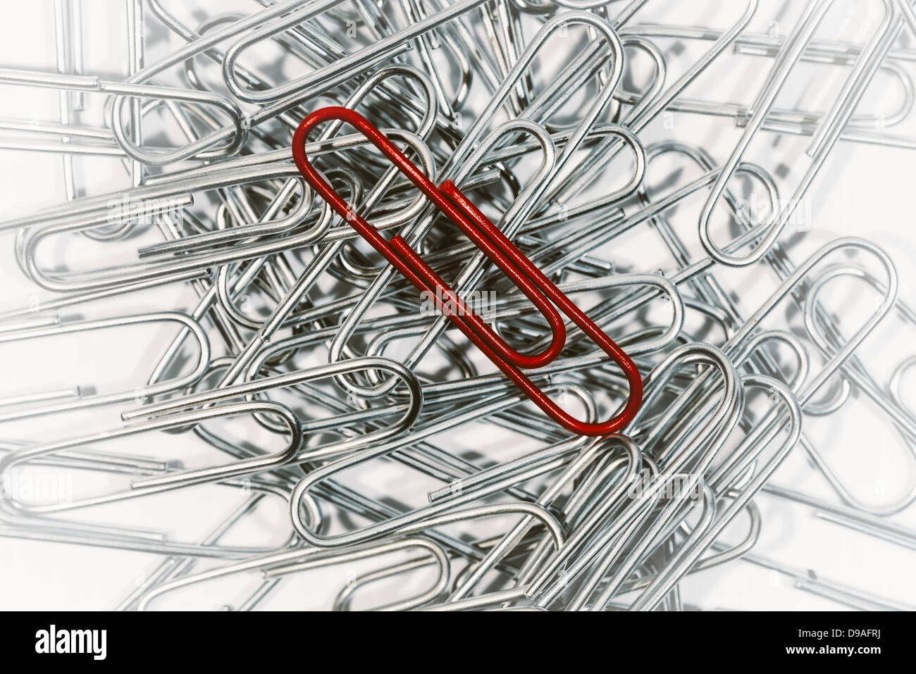 Lone red paper clip uniquely presented amongst others Stock Photo - Alamy