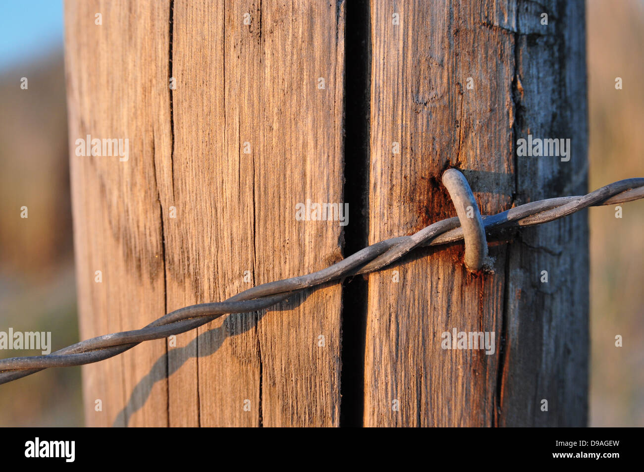 Wooden pole with barbed wire Stock Photo - Alamy
