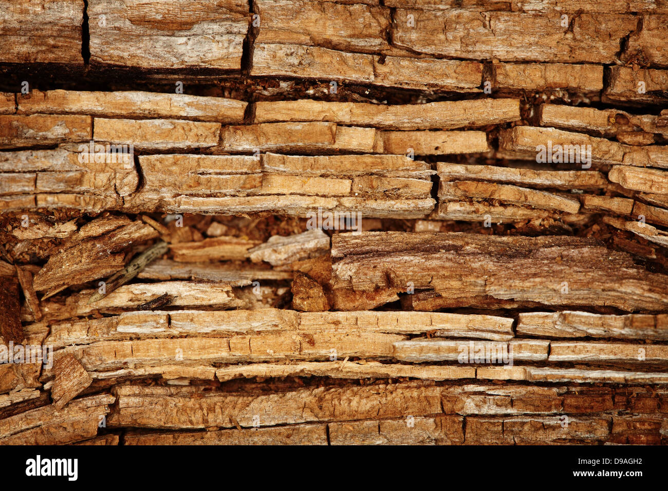 Rotten wood floor hi-res stock photography and images - Alamy