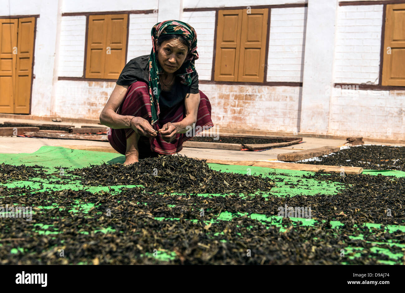 Myanmar Tea High Resolution Stock Photography and Images - Alamy