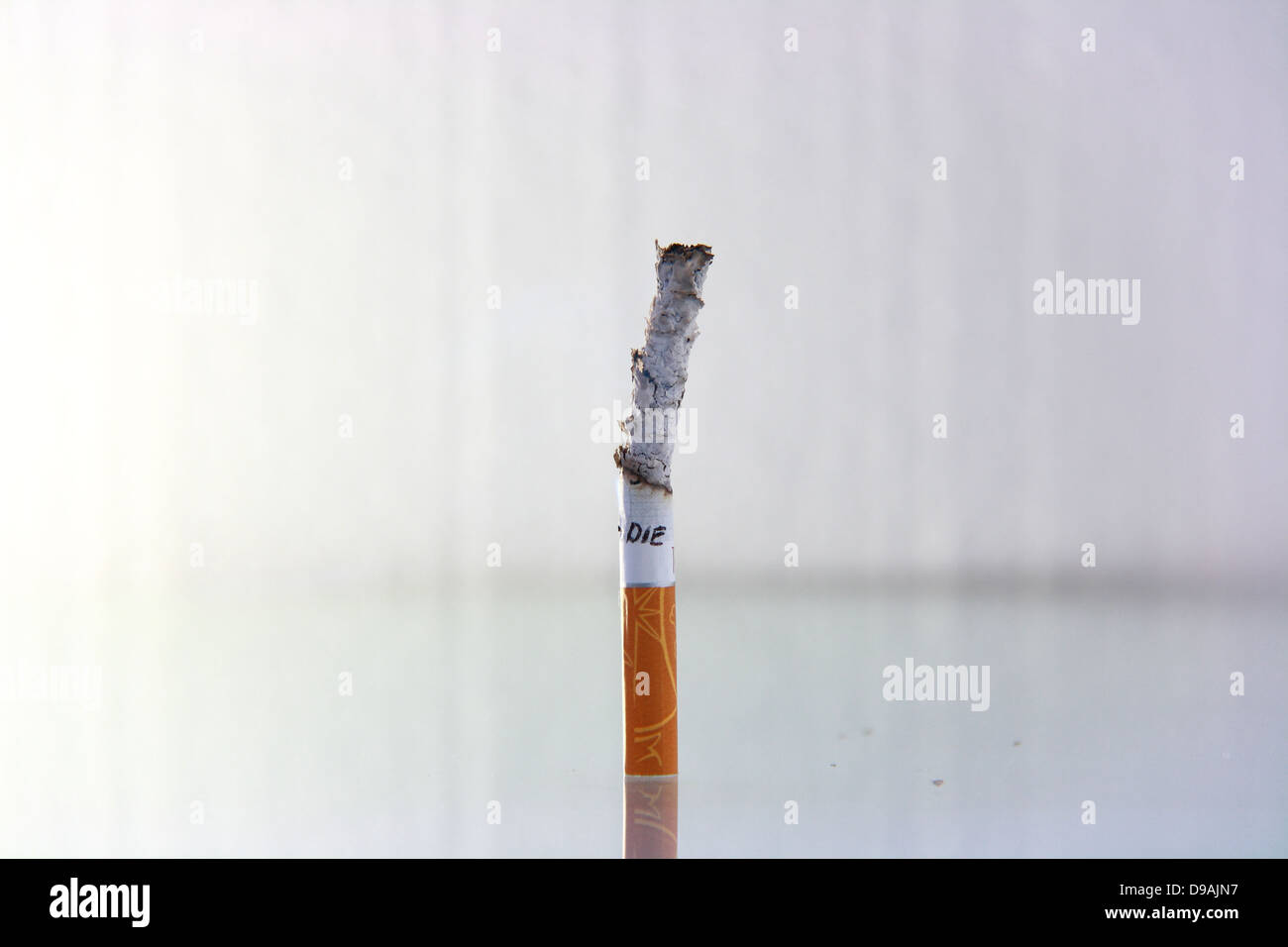 cigarette burning in front of white background Stock Photo - Alamy