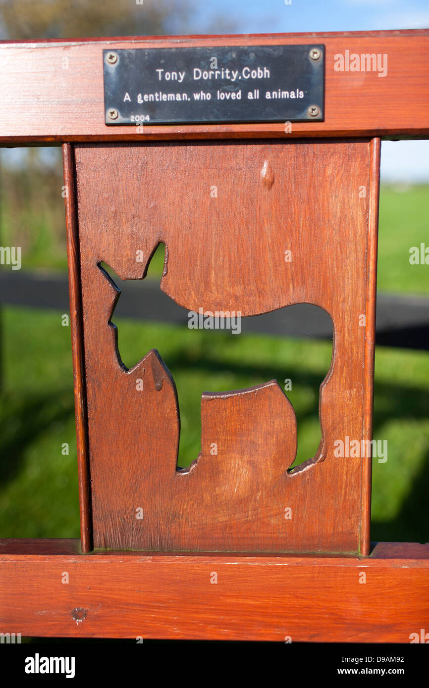 A memorial on a wooden bench at the Donkey Sanctuary in Liscarroll ...