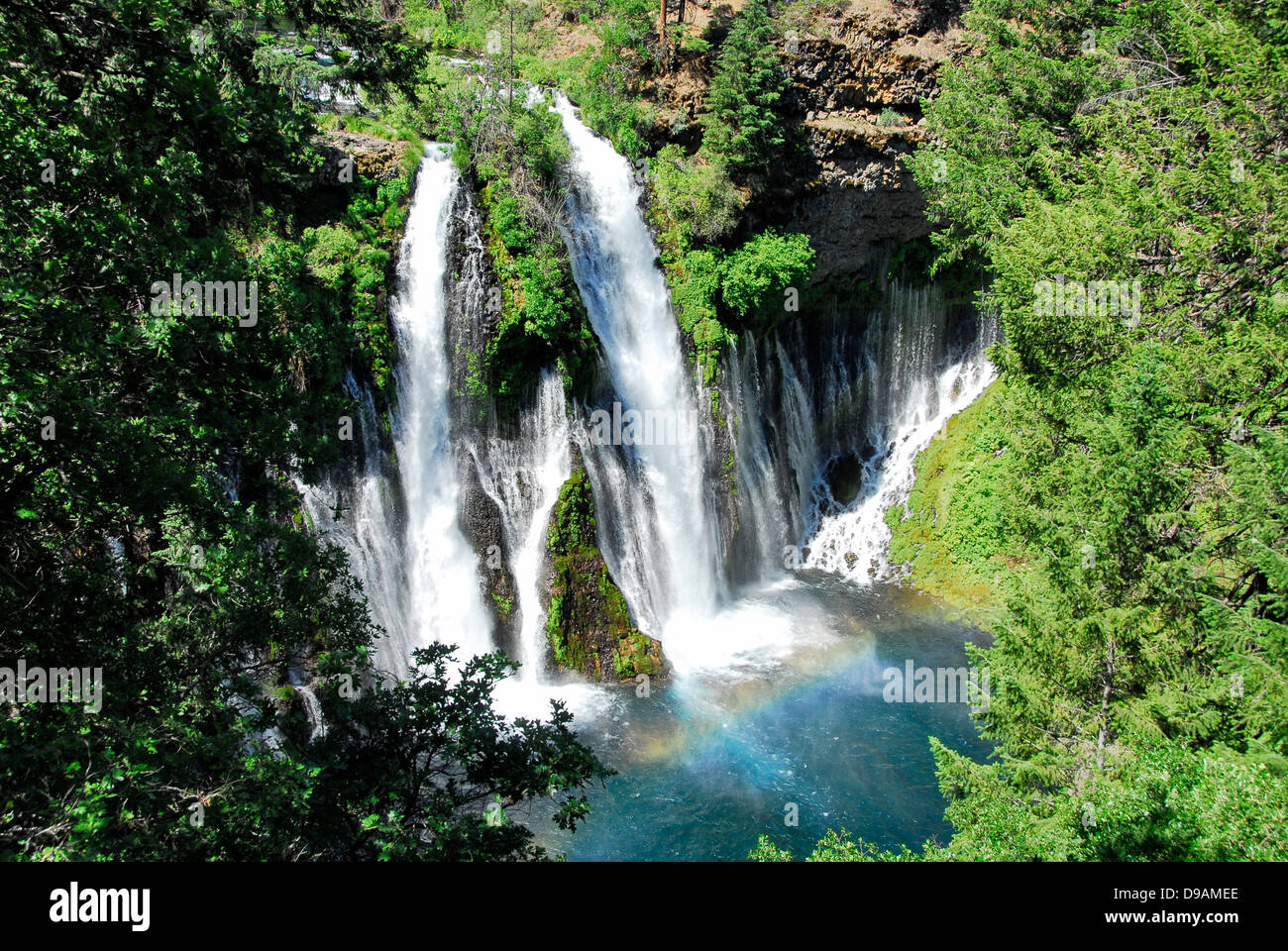 Arthur burney hi-res stock photography and images - Alamy