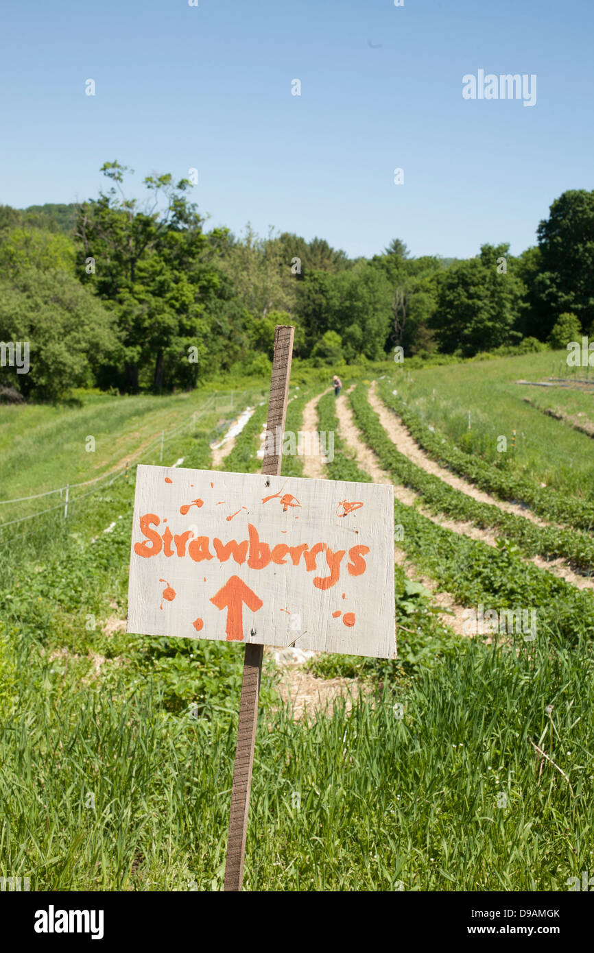 Fruit picking sign hi-res stock photography and images - Alamy