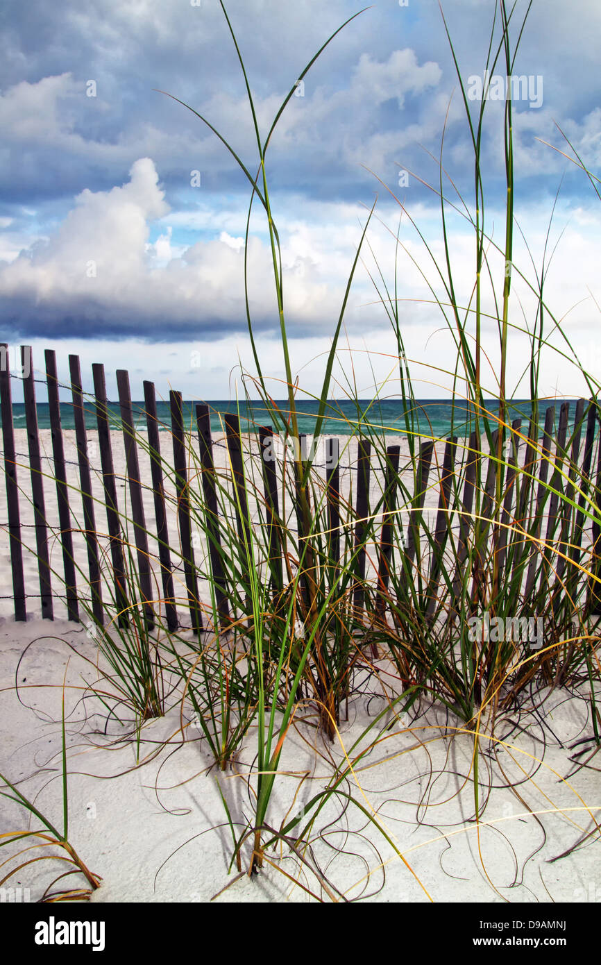 Destin florida beach hi-res stock photography and images - Alamy