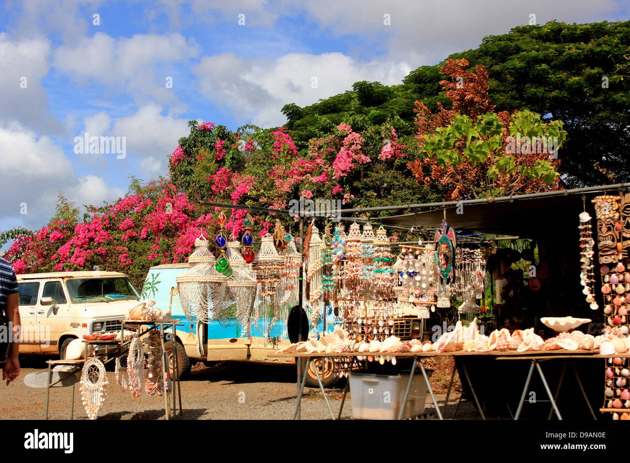 Store hawaii hi-res stock photography and images - Alamy