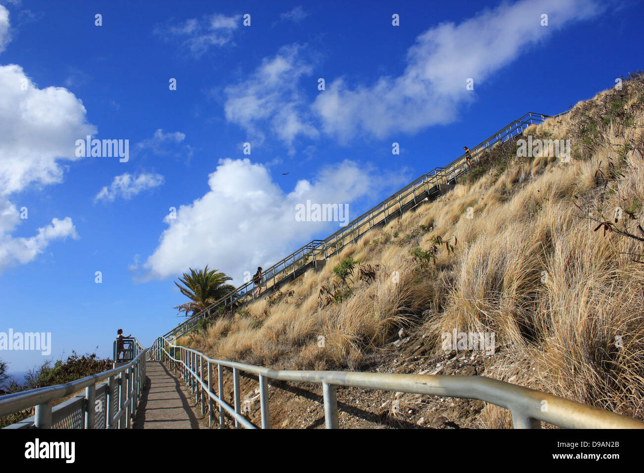mount diamond head Stock Photo - Alamy