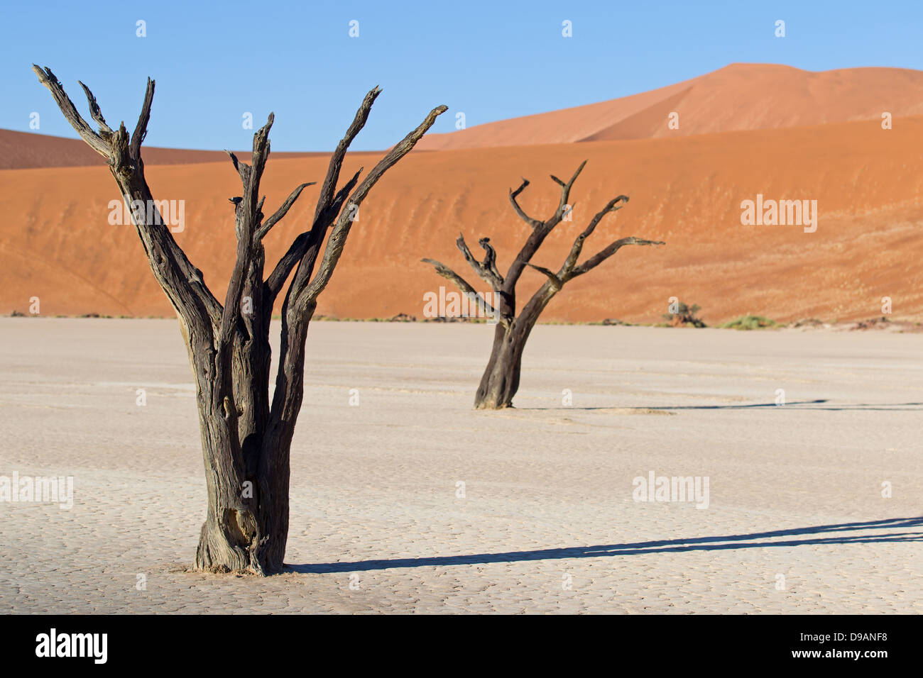 Sossusvlei, Sossusvlei, Sesriem, Namib, Namibia, desert, Wüste, Wueste ...
