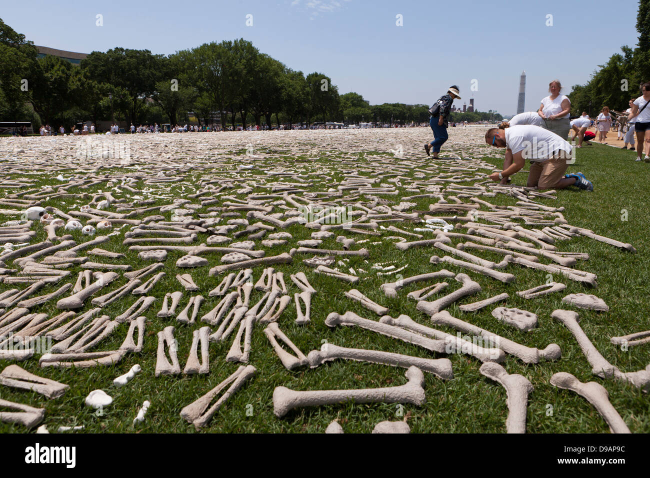 One Million Bones project for genocide awareness - June 8, 2013 ...
