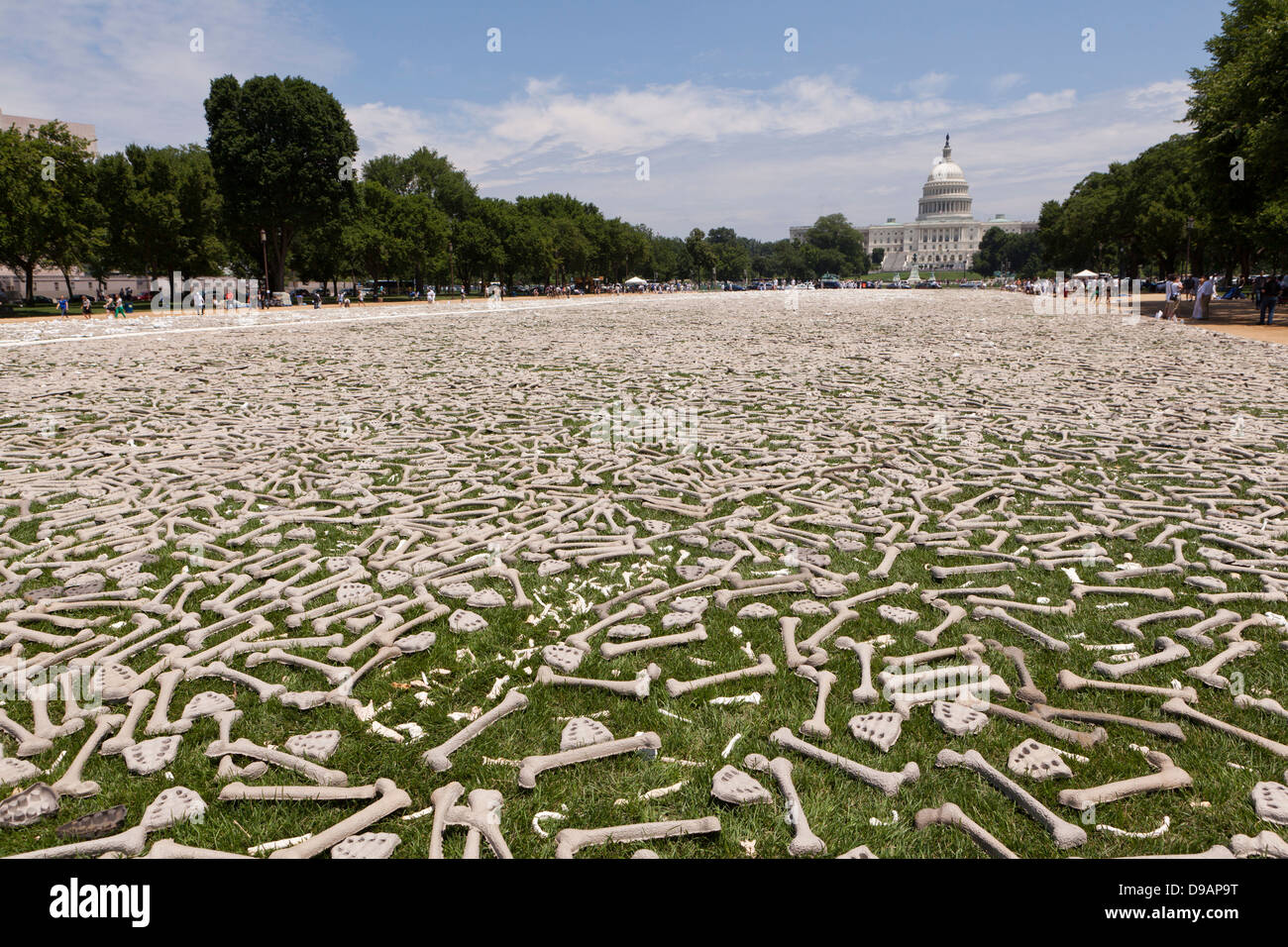 One Million Bones project for genocide awareness - June 8, 2013 ...