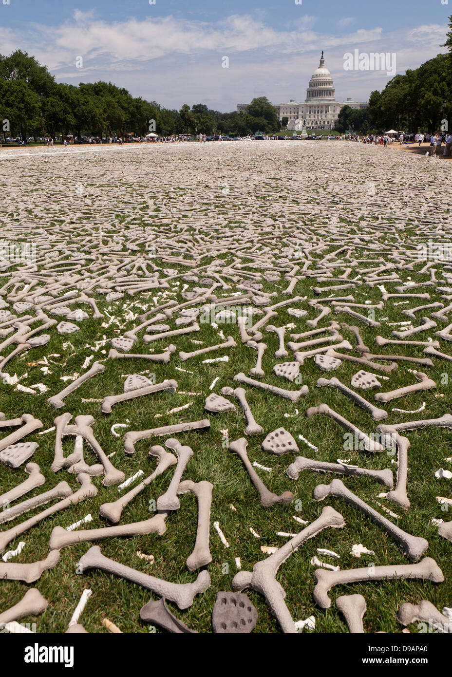 One Million Bones project for genocide awareness - June 8, 2013 ...