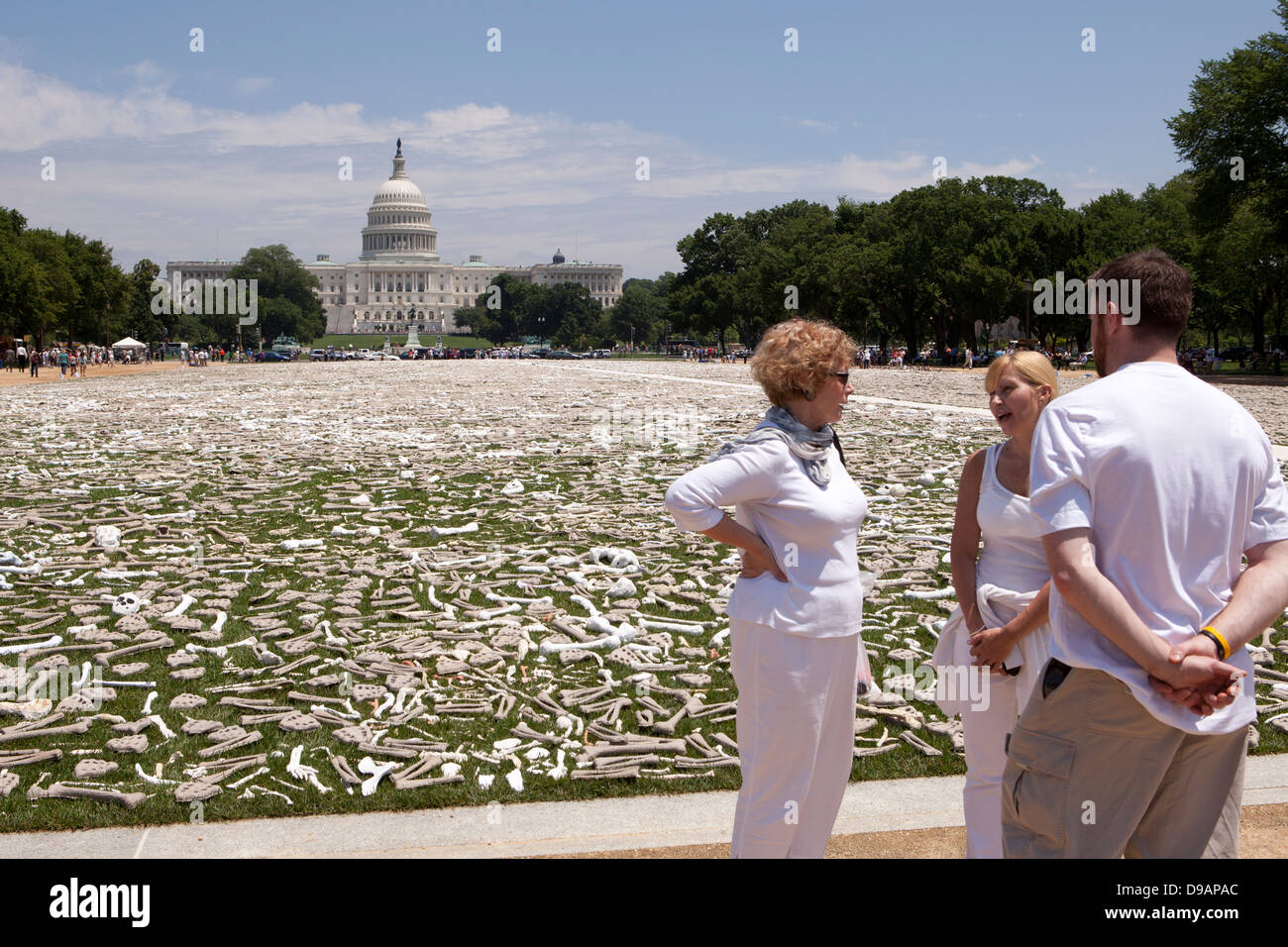 One million bones hi-res stock photography and images - Alamy