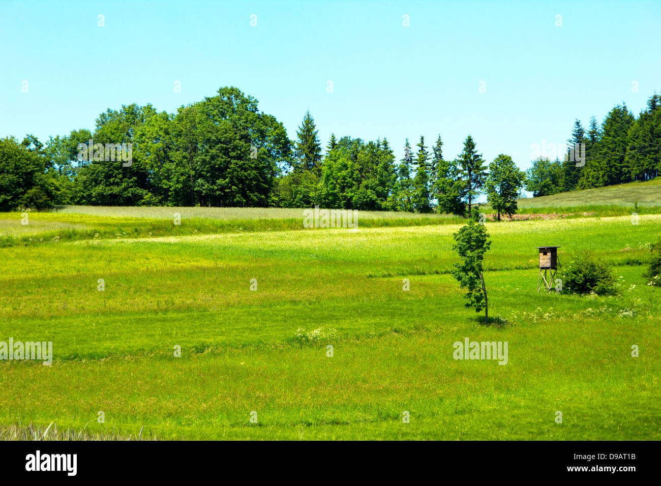 Hayfield meadows hi-res stock photography and images - Alamy