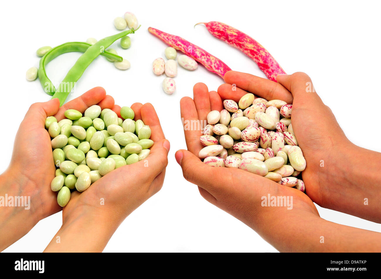 green beans and pinto beans in handful Stock Photo - Alamy