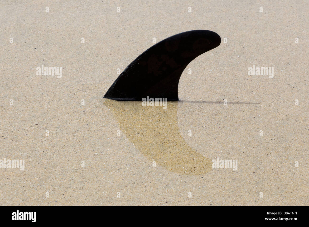 Broken surfboard fin or skeg hydrofoil mounted at the tail of a ...