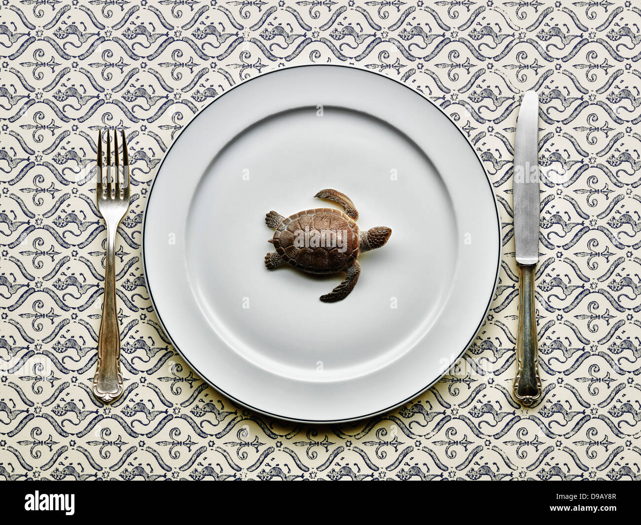 Table setting and turtle hi-res stock photography and images - Alamy