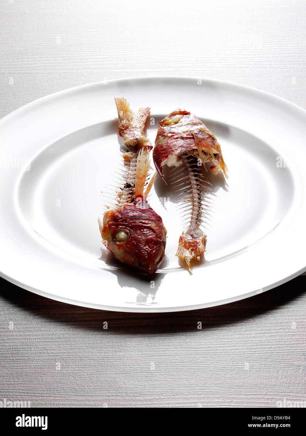 Fishbone remains hi-res stock photography and images - Alamy