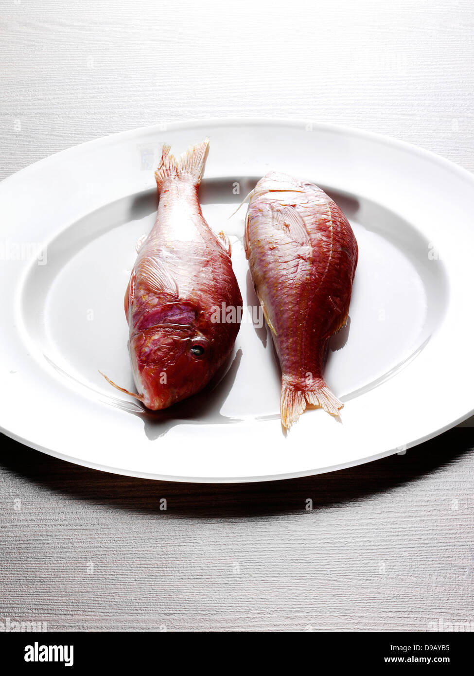 Plate of fishes on table, close up Stock Photo - Alamy