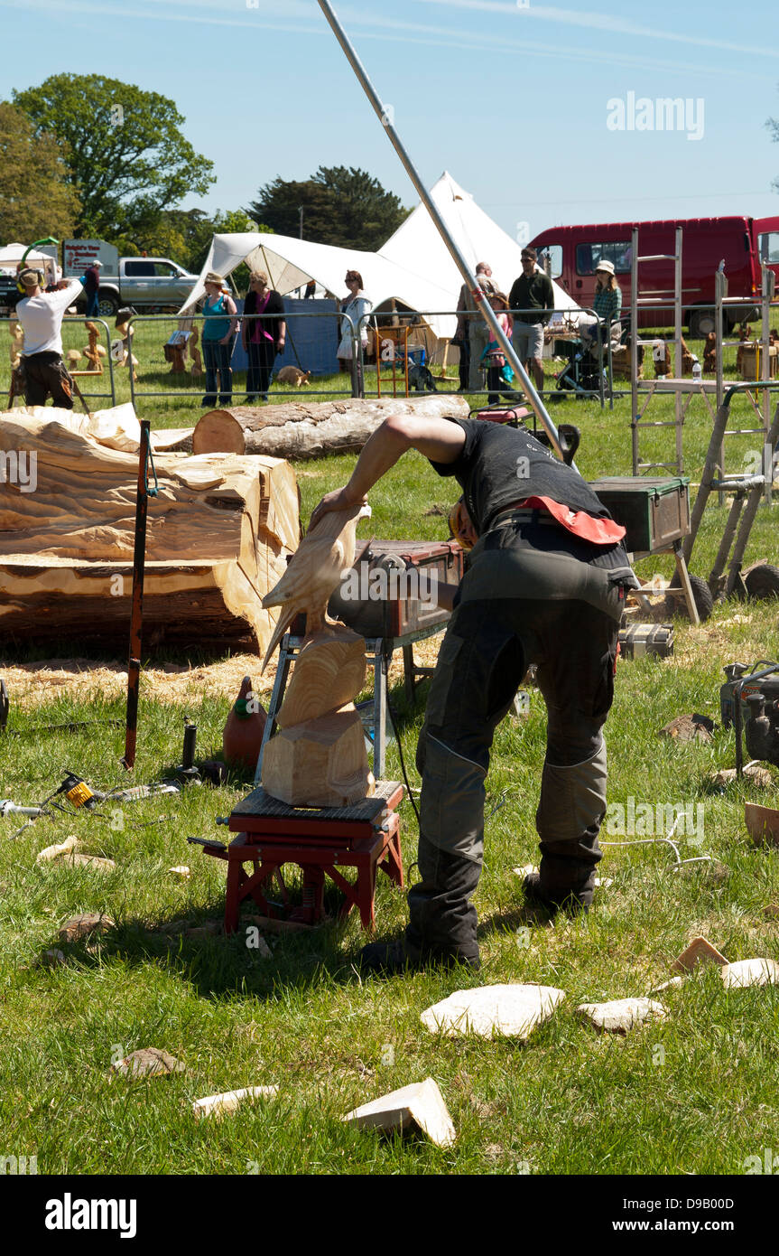 St Asaph Woodfest Countryfile May 31st 2013 Stock Photo - Alamy