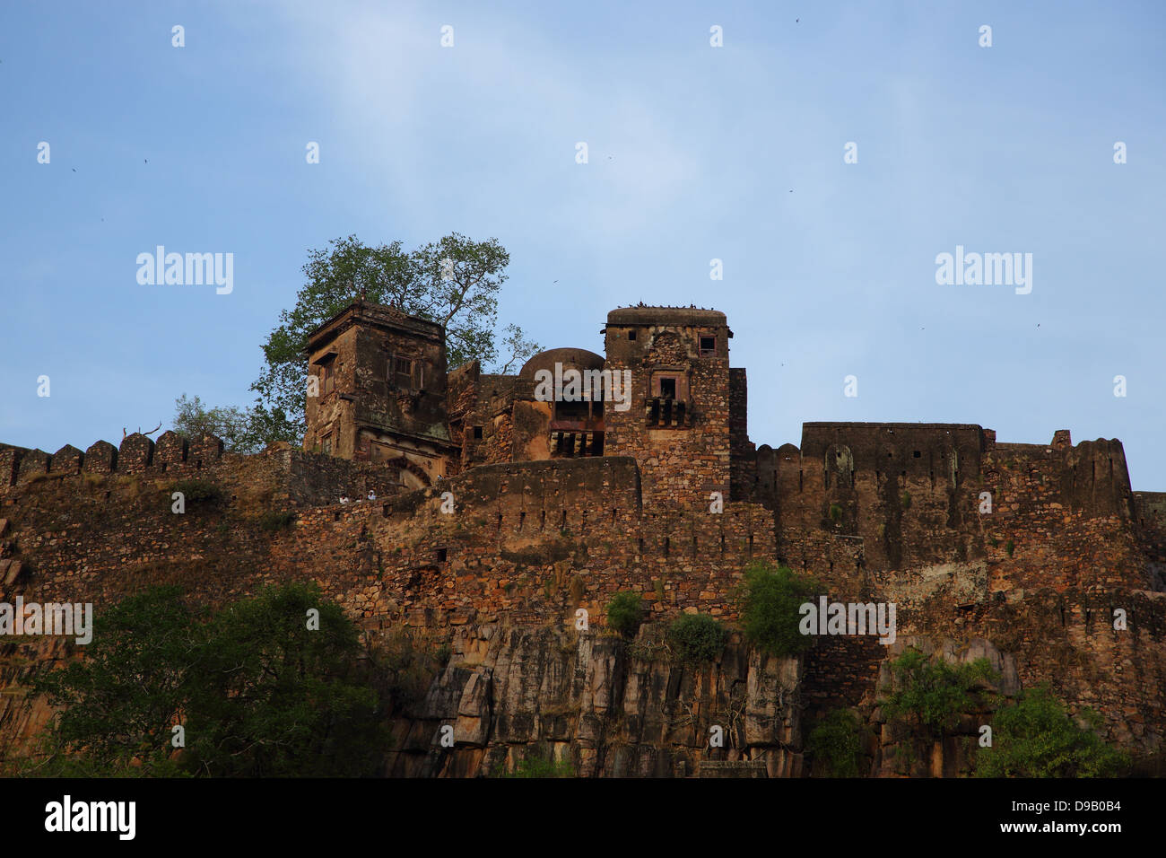 Ranthambhore hi-res stock photography and images - Alamy