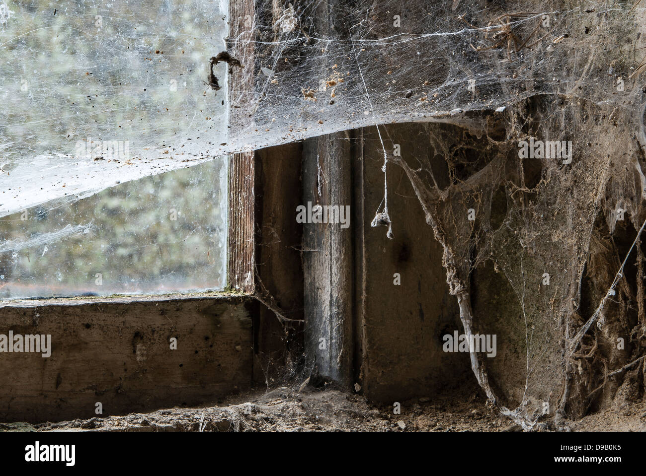 Cobwebs in a window frame Stock Photo - Alamy