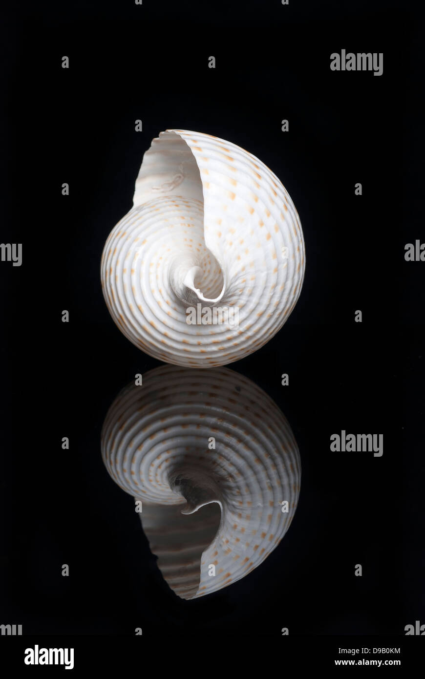 Tonna hi-res stock photography and images - Alamy