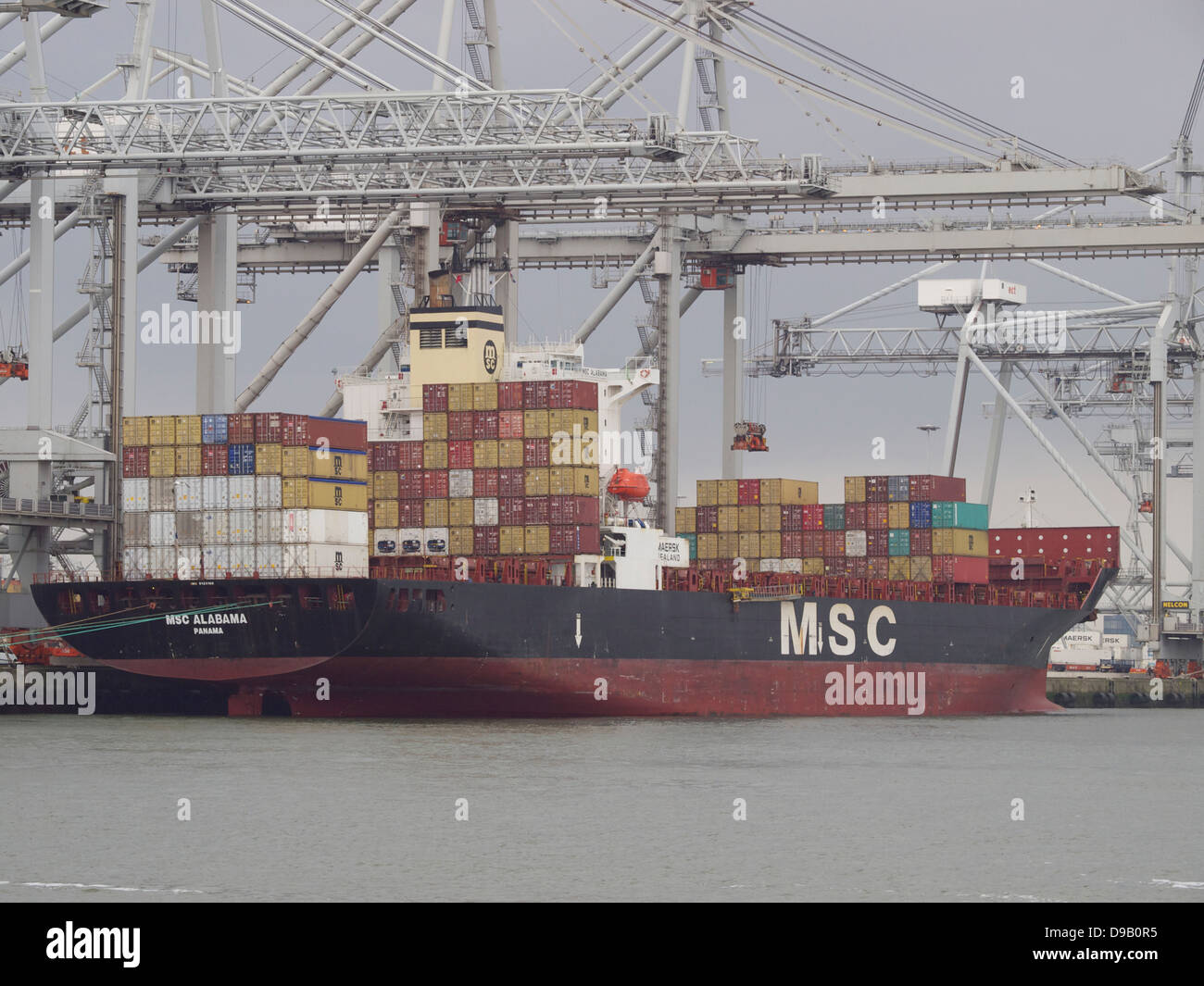 MSC Alabama at ECT container terminals on the Maasvlakte 2 in the port ...