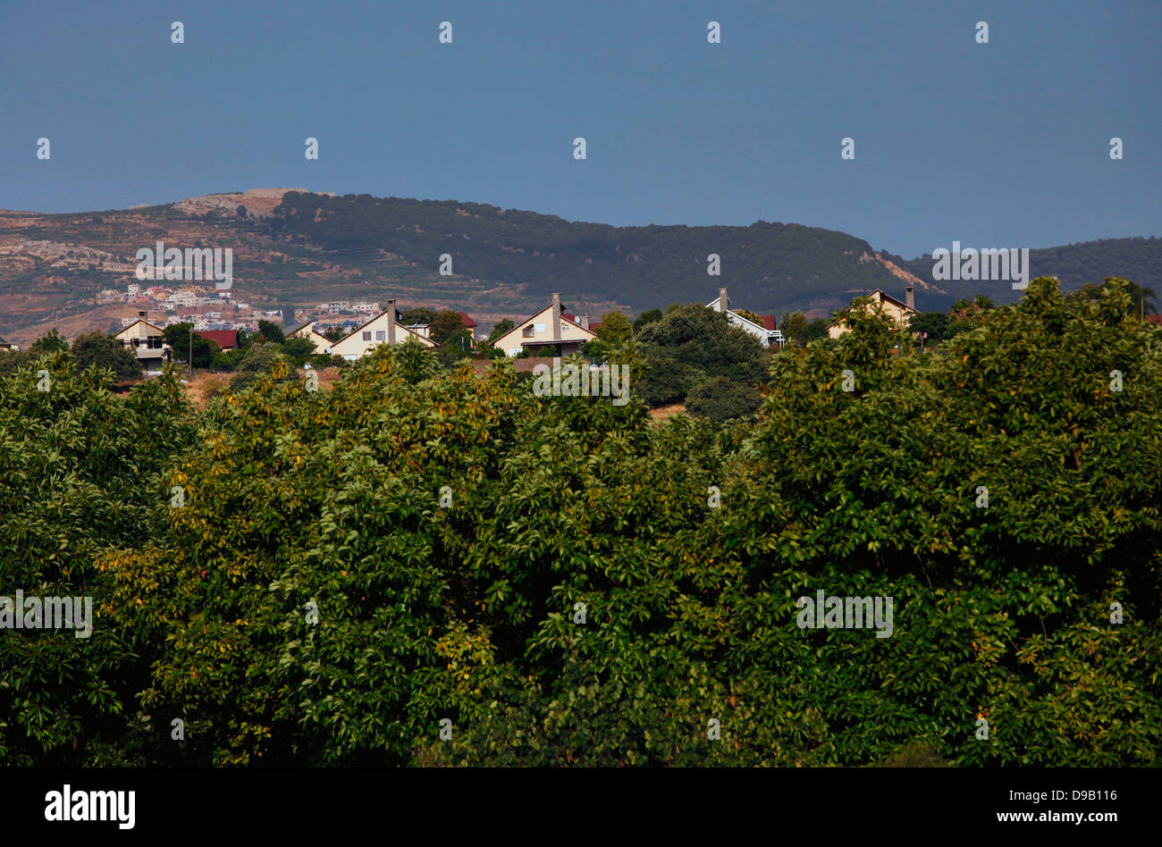 Moshav shitufi hi-res stock photography and images - Alamy