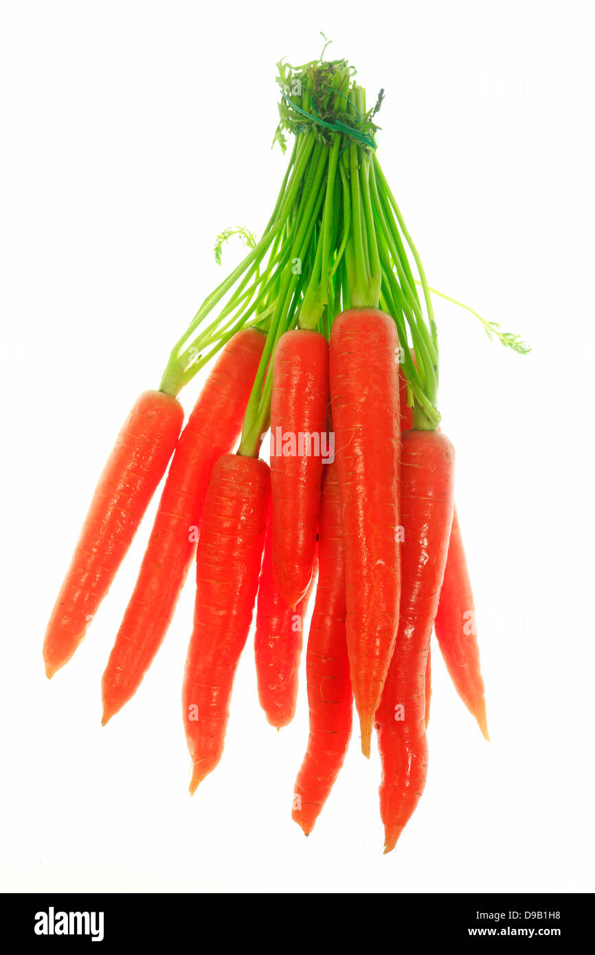 Bunch of fresh carrots, close up Stock Photo - Alamy