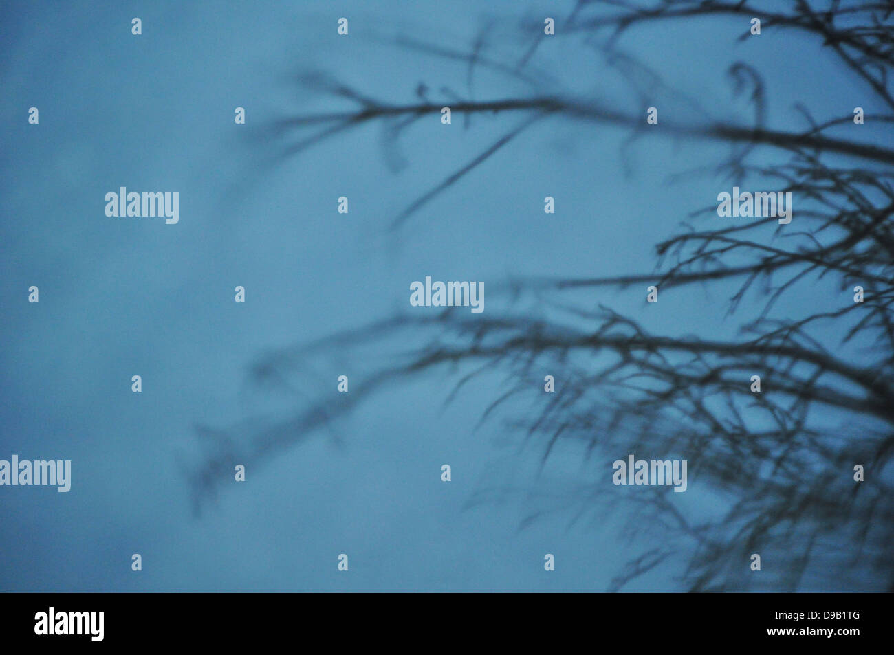 Blue puddle hi-res stock photography and images - Alamy