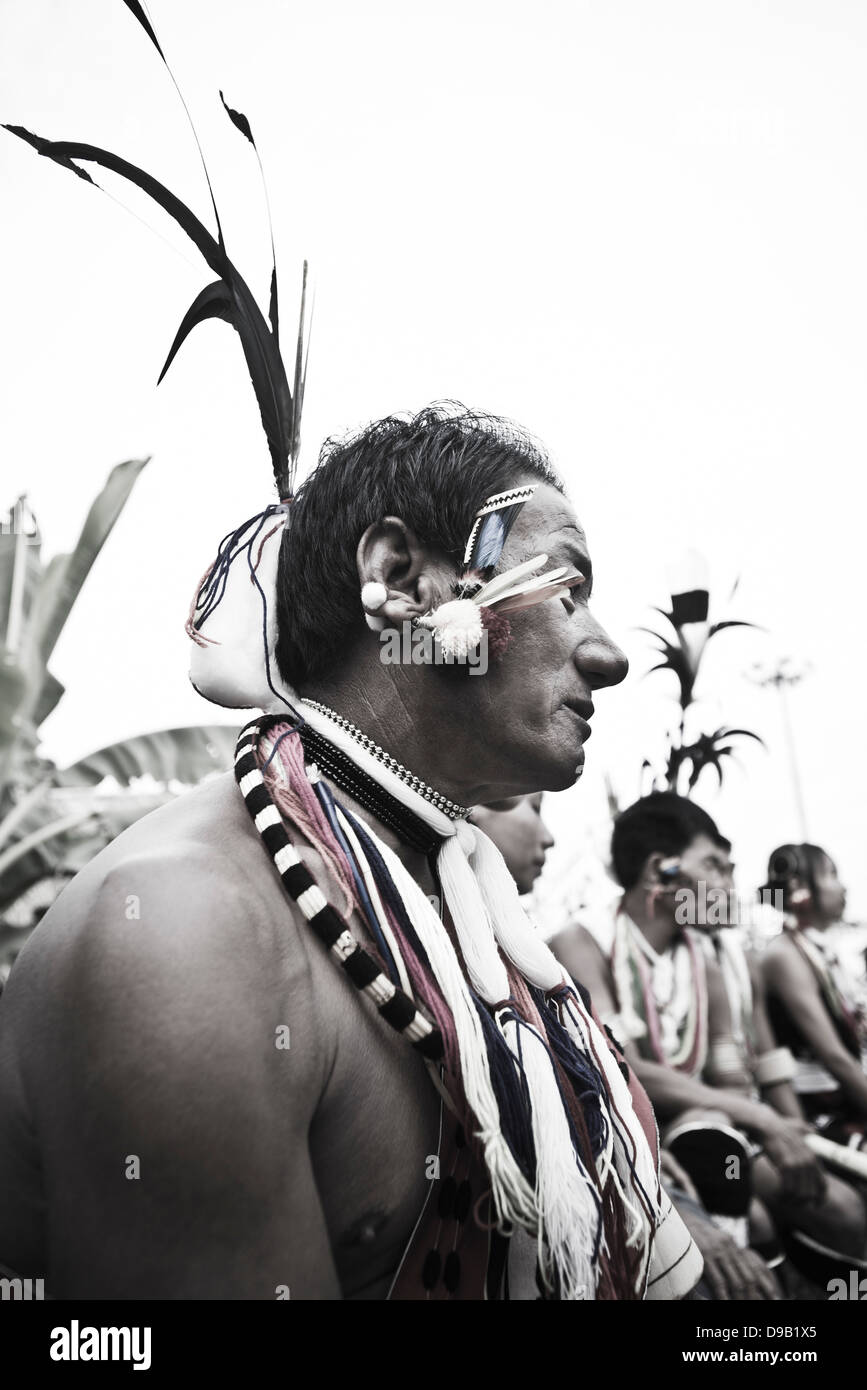 Naga tribesman in traditional outfit, Hornbill Festival, Kohima ...