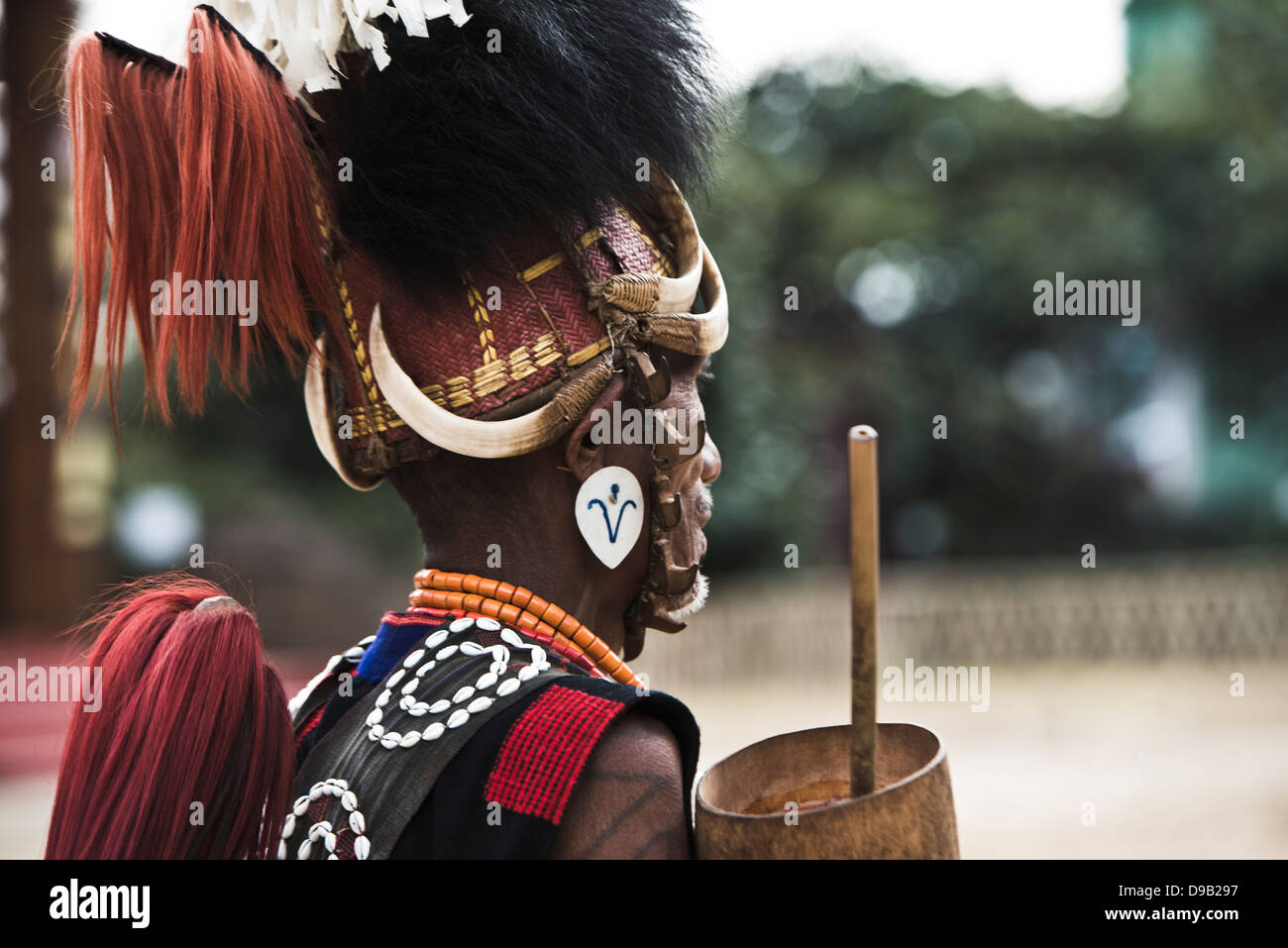 Naga tribesman in traditional outfit during the annual Hornbill ...