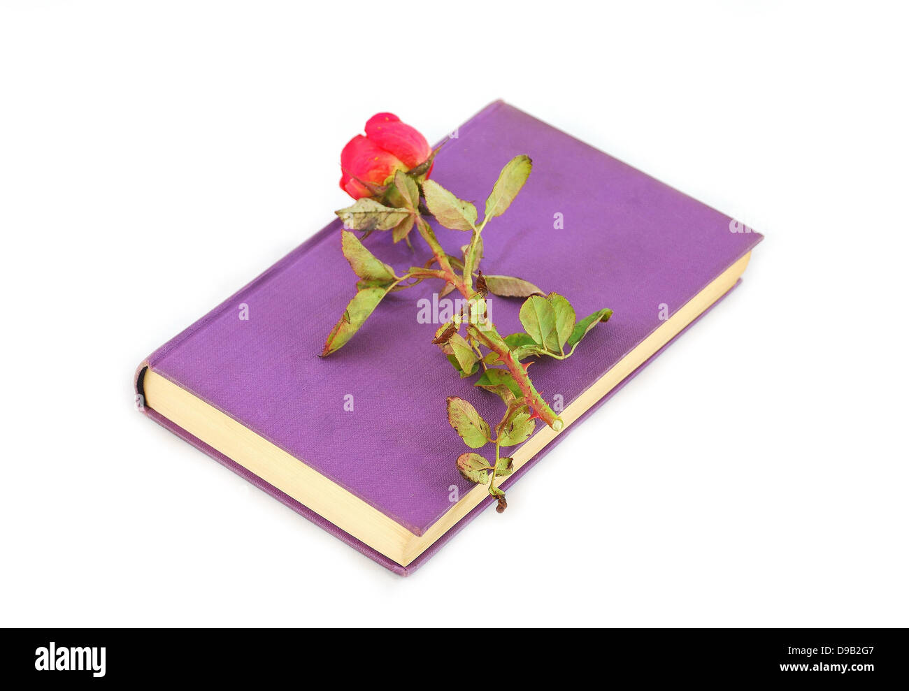Rose and book Cut Out Stock Images & Pictures - Alamy