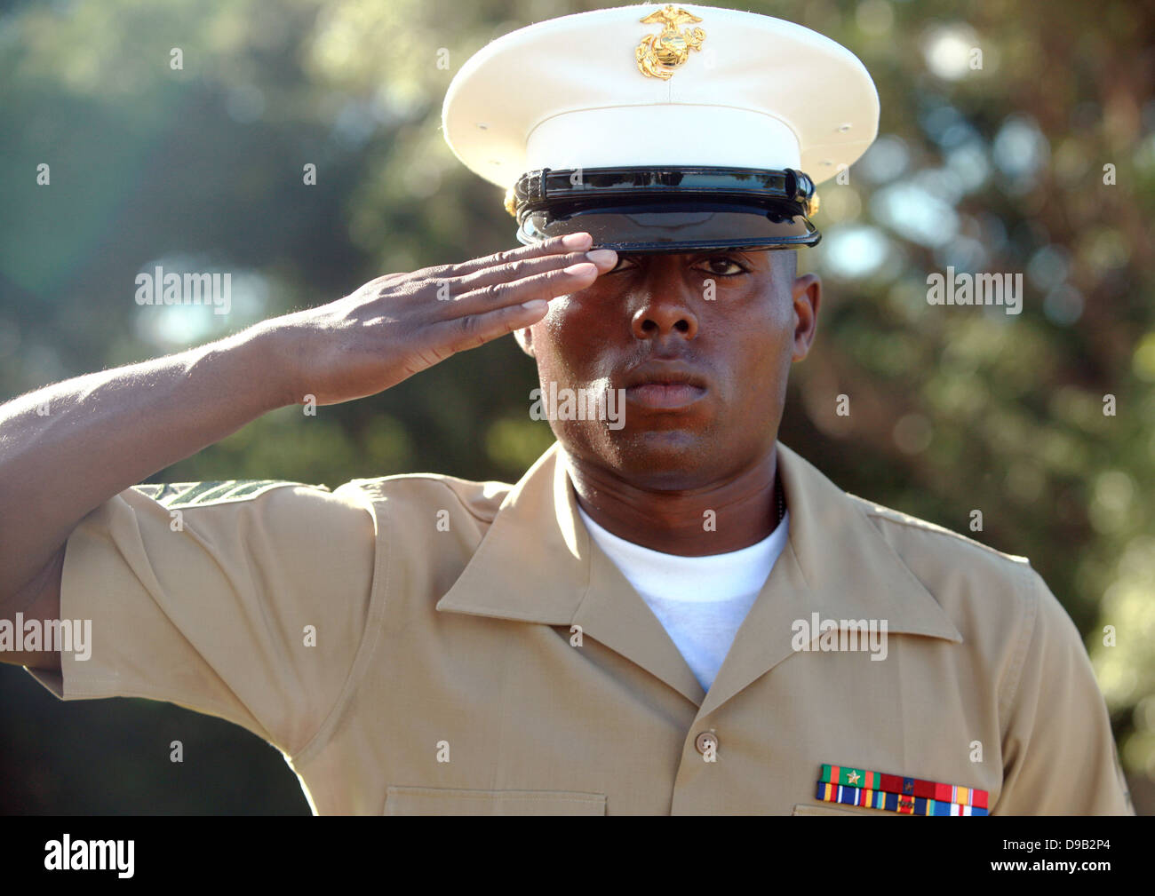 Marine rotational force darwin hi-res stock photography and images - Alamy