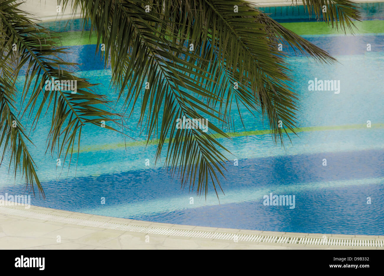 Hotel swimming pool seen through palm trees Stock Photo - Alamy