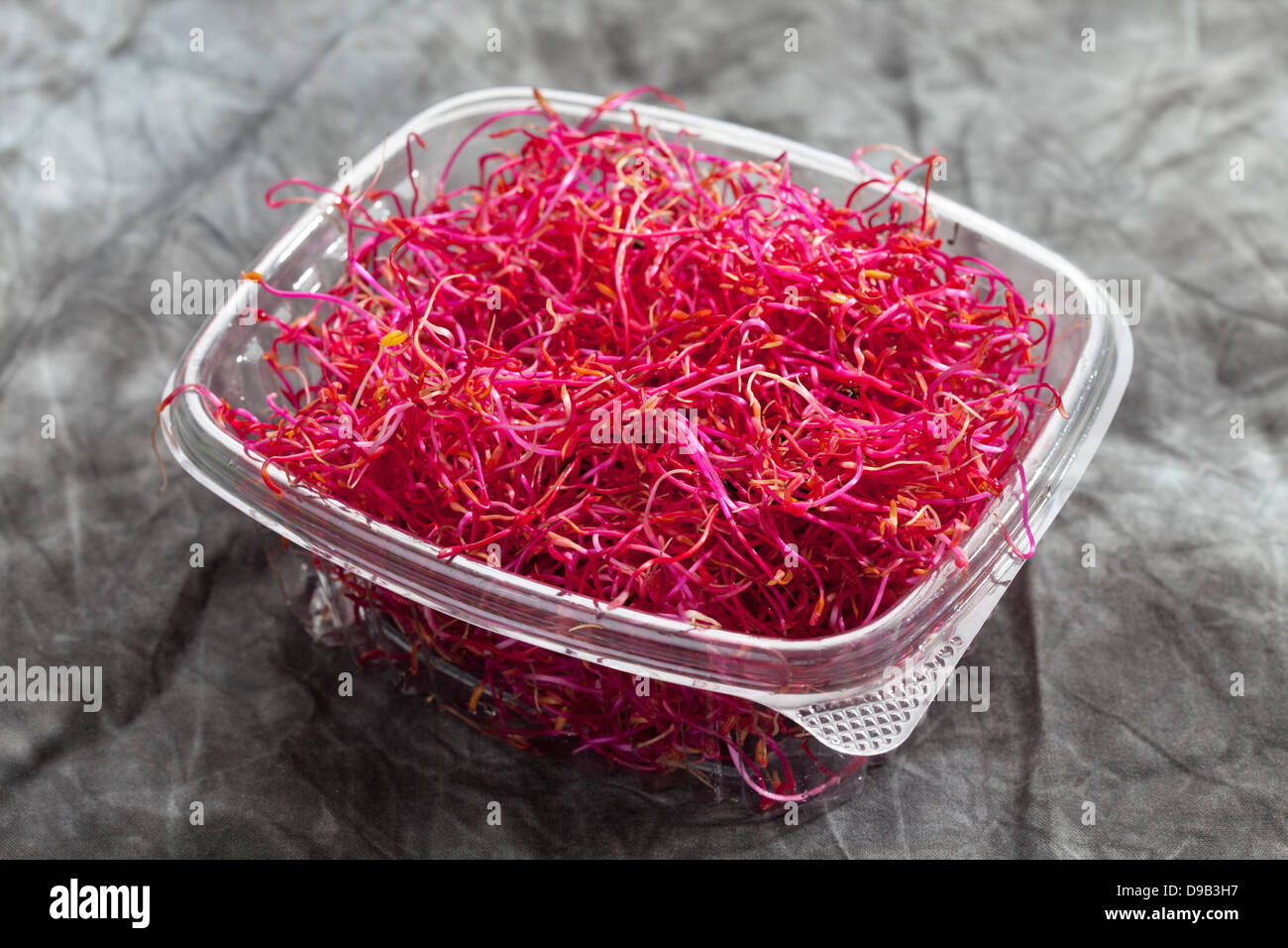 Beetroot sprouts in container on grey background, close up Stock Photo ...