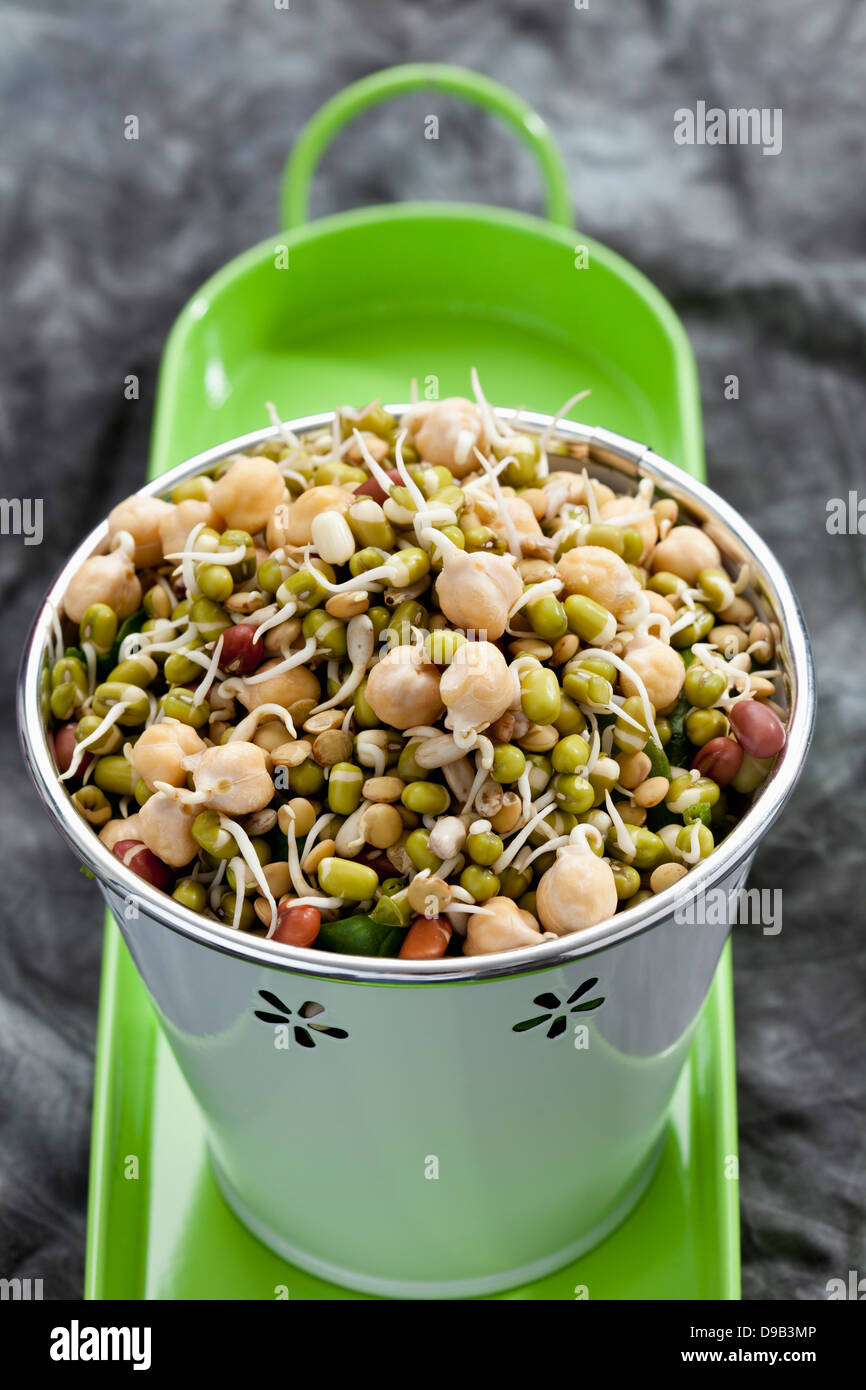Mixed vegetable sprouts in container on grey background, close up Stock ...