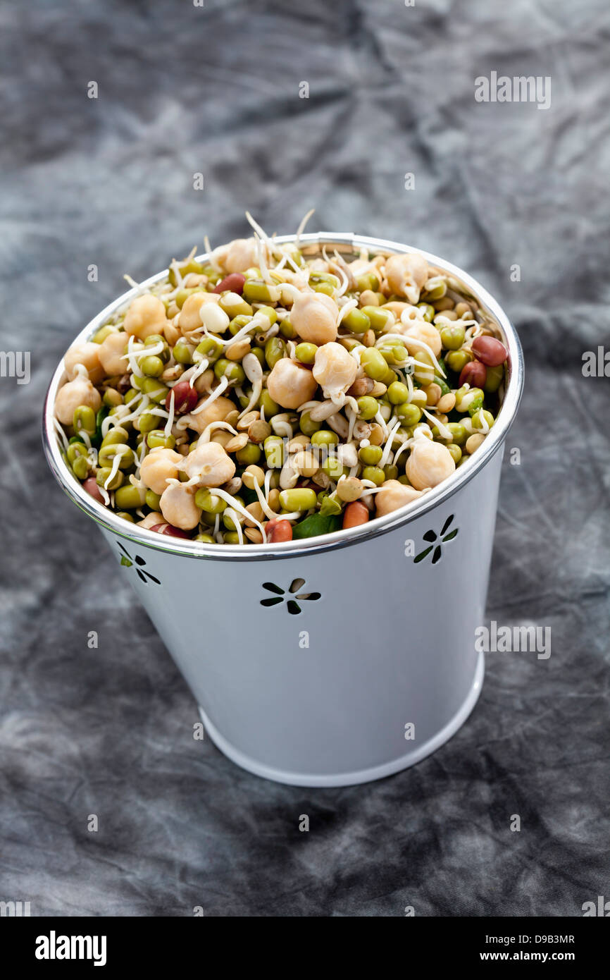 Mixed vegetable sprouts in container on grey background, close up Stock ...