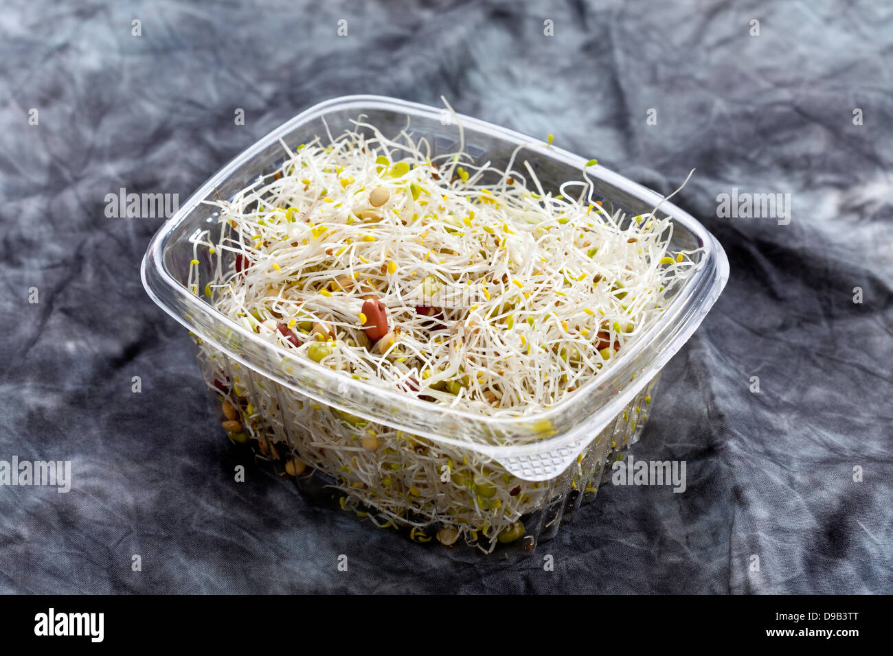 Mixed sprouts salad in container, close up Stock Photo - Alamy