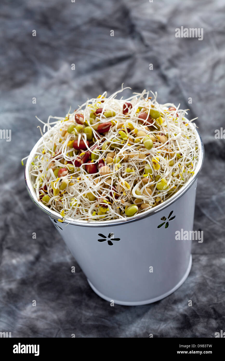 Mixed sprouts salad in hi-res stock photography and images - Alamy