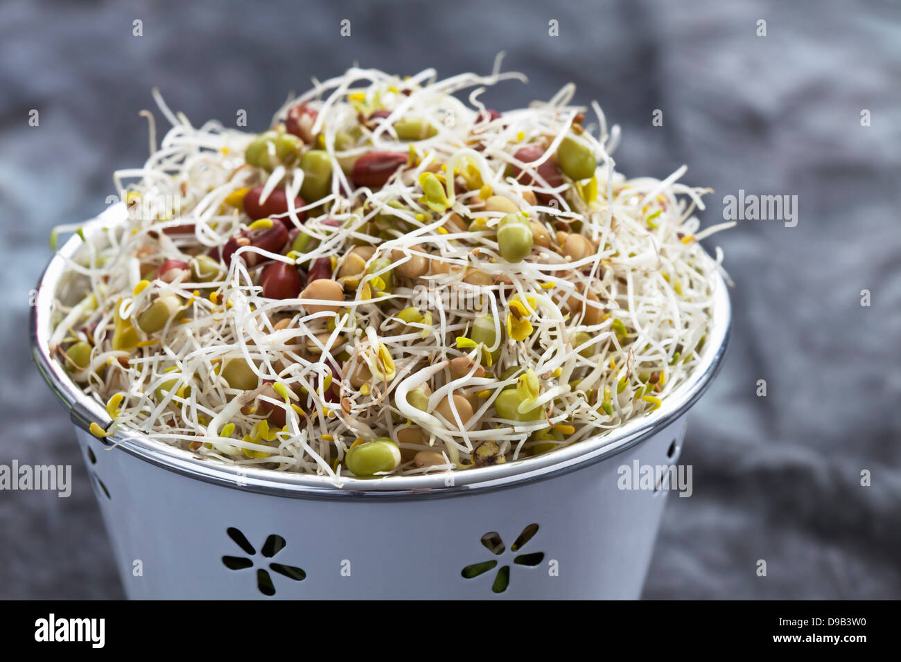 Mixed sprouts salad in container, close up Stock Photo - Alamy