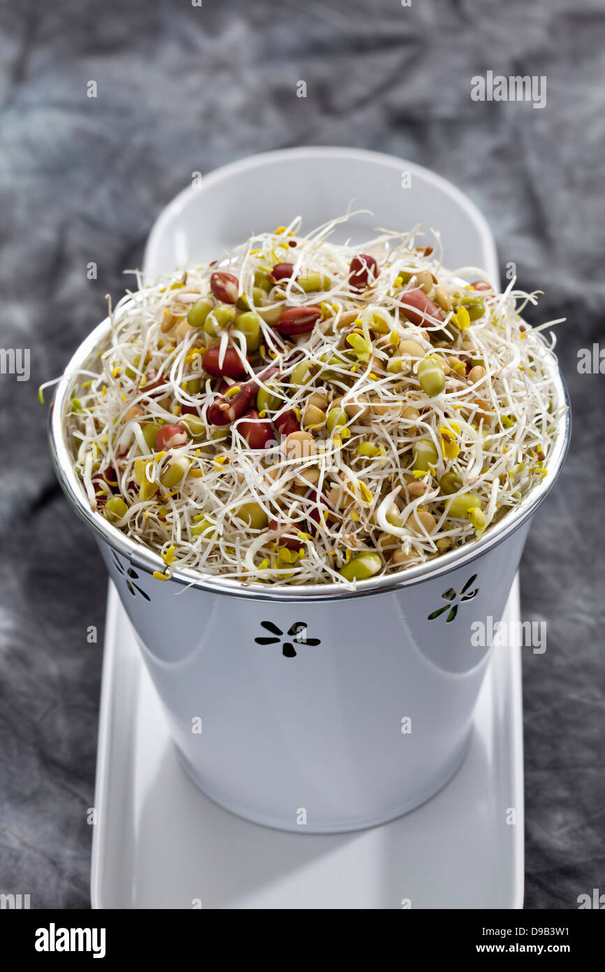 Mixed sprouts salad in container, close up Stock Photo - Alamy