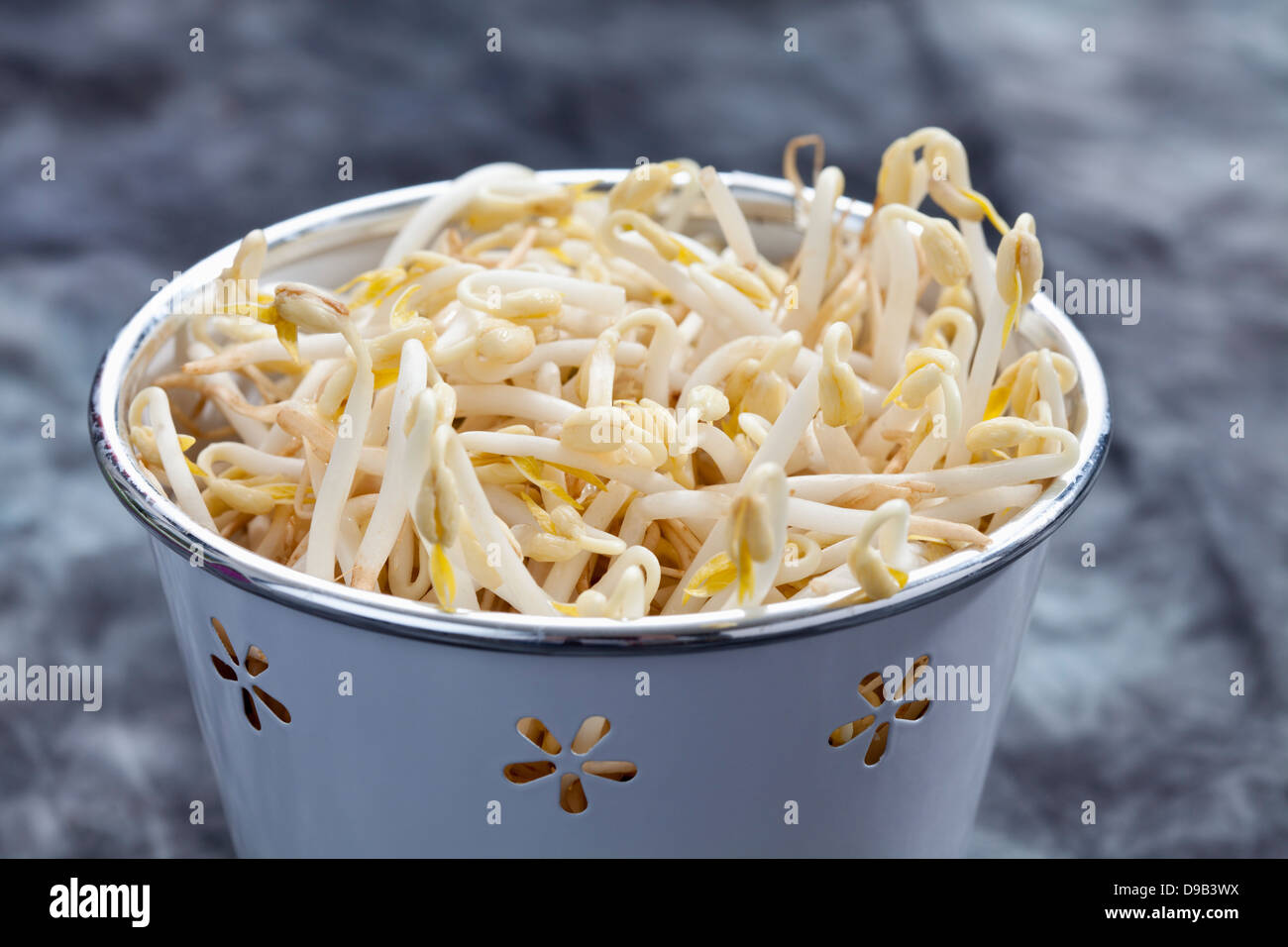 Mung bean sprouts in container, close up Stock Photo - Alamy