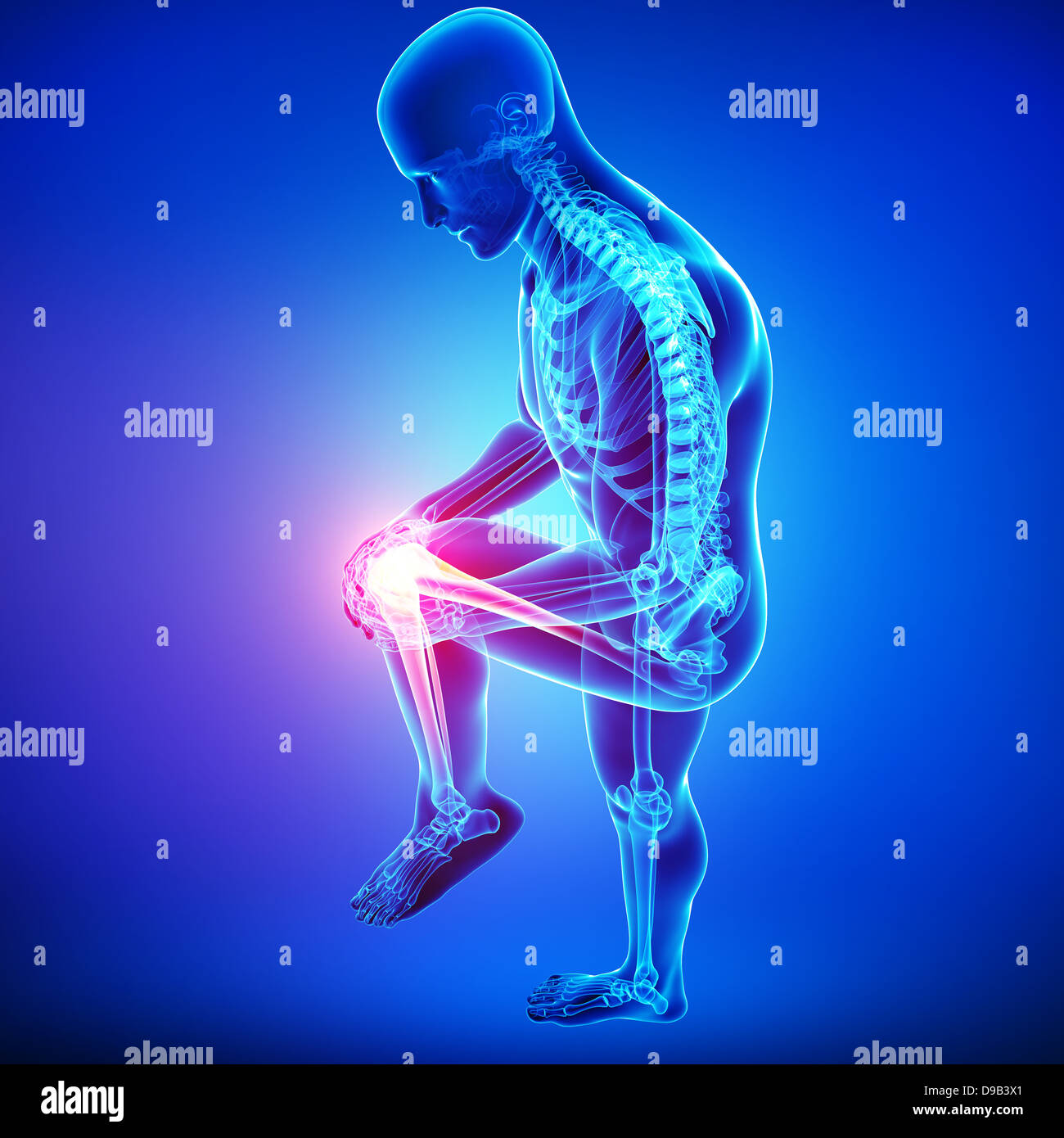 Human knee pain anatomy Stock Photo - Alamy