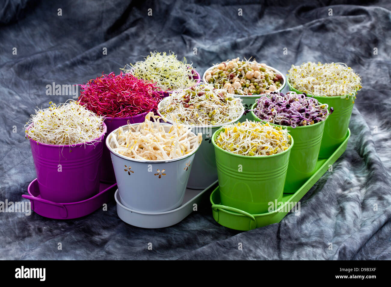 Broccoli sprouts in container hi-res stock photography and images - Alamy