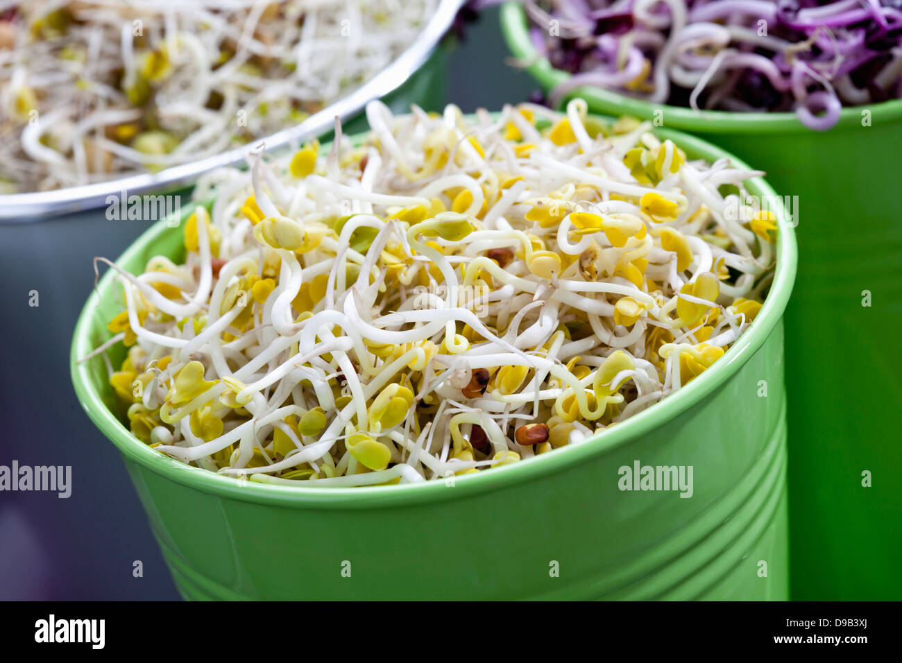 Mixed sprouts in container, close up Stock Photo - Alamy