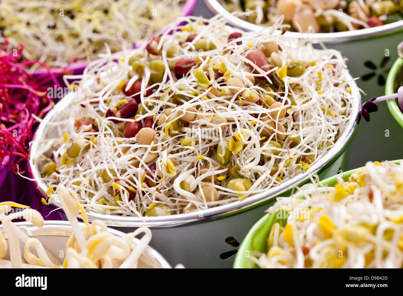 Mixed sprouts in container, close up Stock Photo - Alamy